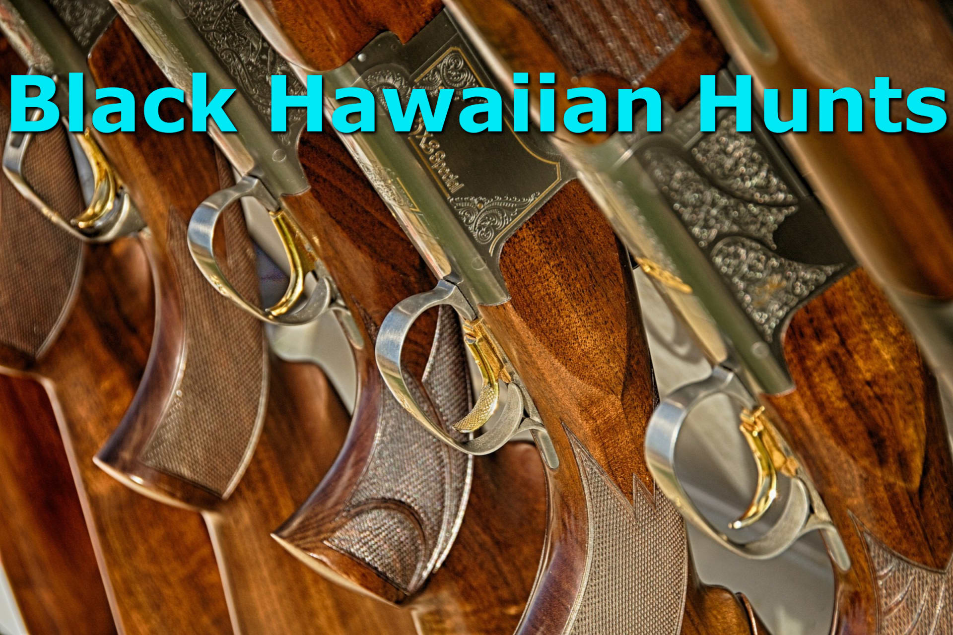 Hunting Outfitters In Hawaii at Eddie Avila blog