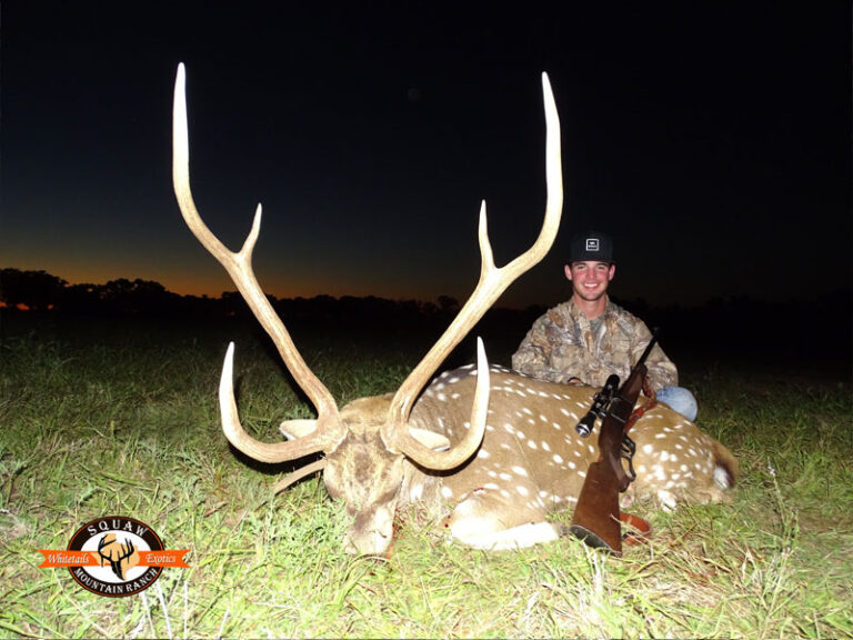 Price List for Exotic Animal Hunting in Texas | Squaw Mountain Ranch