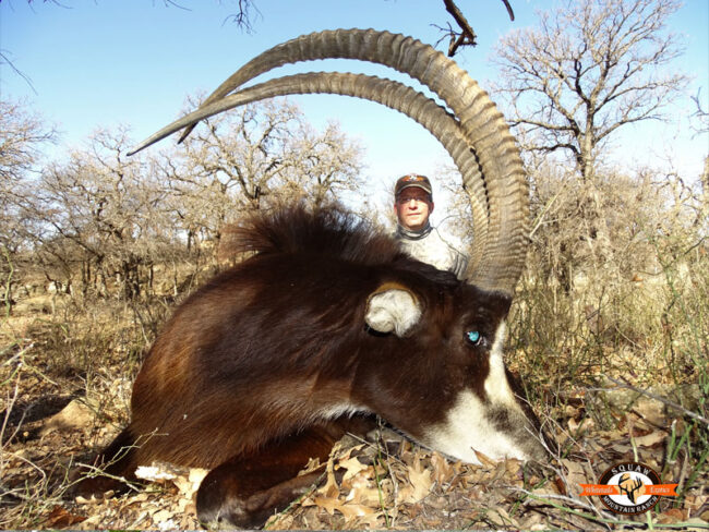 Price List for Exotic Animal Hunting in Texas | Squaw Mountain Ranch