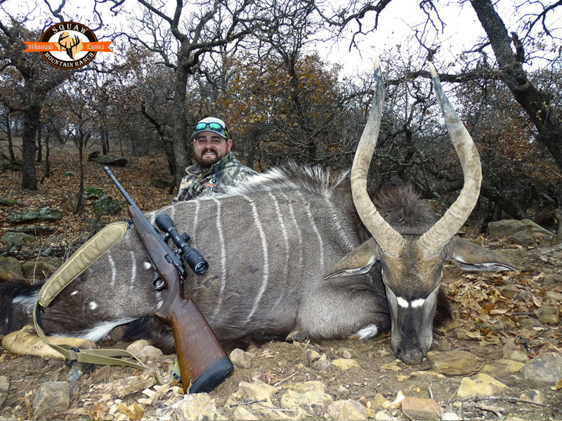 Price List for Exotic Animal Hunting in Texas | Squaw Mountain Ranch