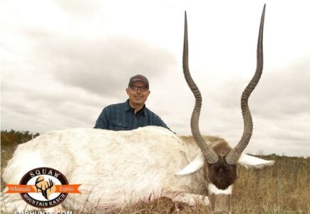 Addax Hunts in Texas - Hunting in Texas | Squaw Mountain Ranch