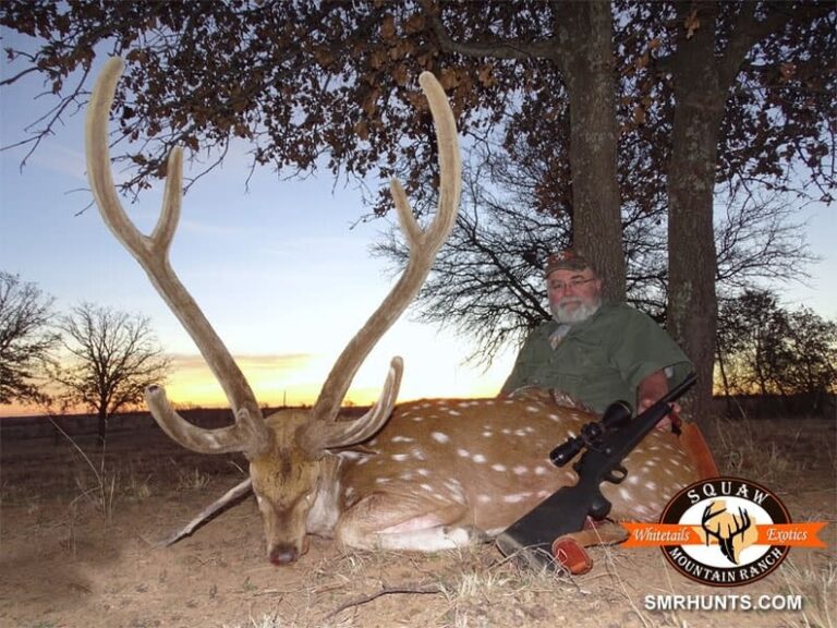 Deer Hunting Regulations by State - Squaw Mountain Ranch