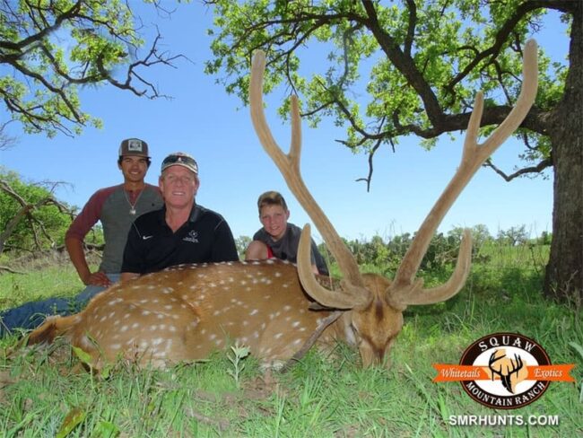 Best Axis Deer Hunting - Hunts in North Texas - Dallas / Fort Worth ...