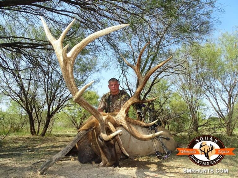 Best Elk Hunts - Hunting in North Texas - Dallas / Fort Worth | Squaw ...