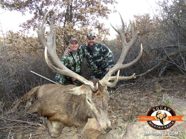 Best Red Stag Hunts - Hunting in Texas - Dallas / Fort Worth | Squaw ...