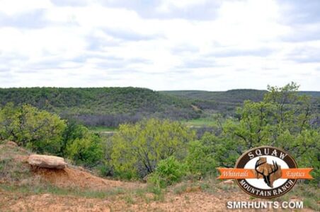 Hunting Ranch in Texas - Squaw Mountain Ranch