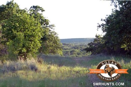 Hunting Ranch in Texas - Squaw Mountain Ranch