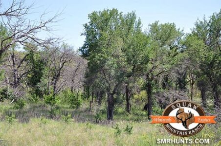 Hunting Ranch in Texas - Squaw Mountain Ranch