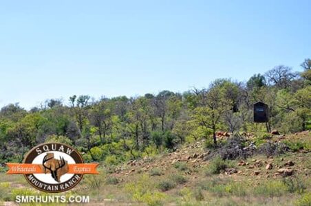 Hunting Ranch in Texas - Squaw Mountain Ranch