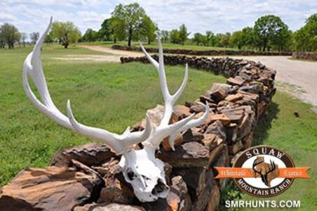 Hunting Ranch in Texas - Squaw Mountain Ranch