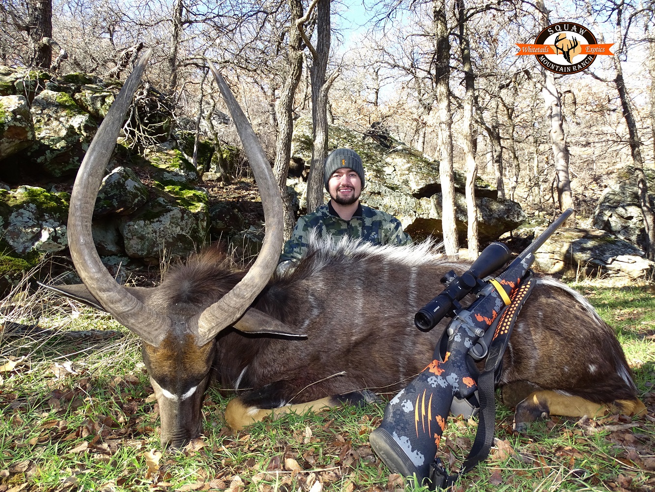 Nyala Hunts - Hunting in Texas | Squaw Mountain Ranch